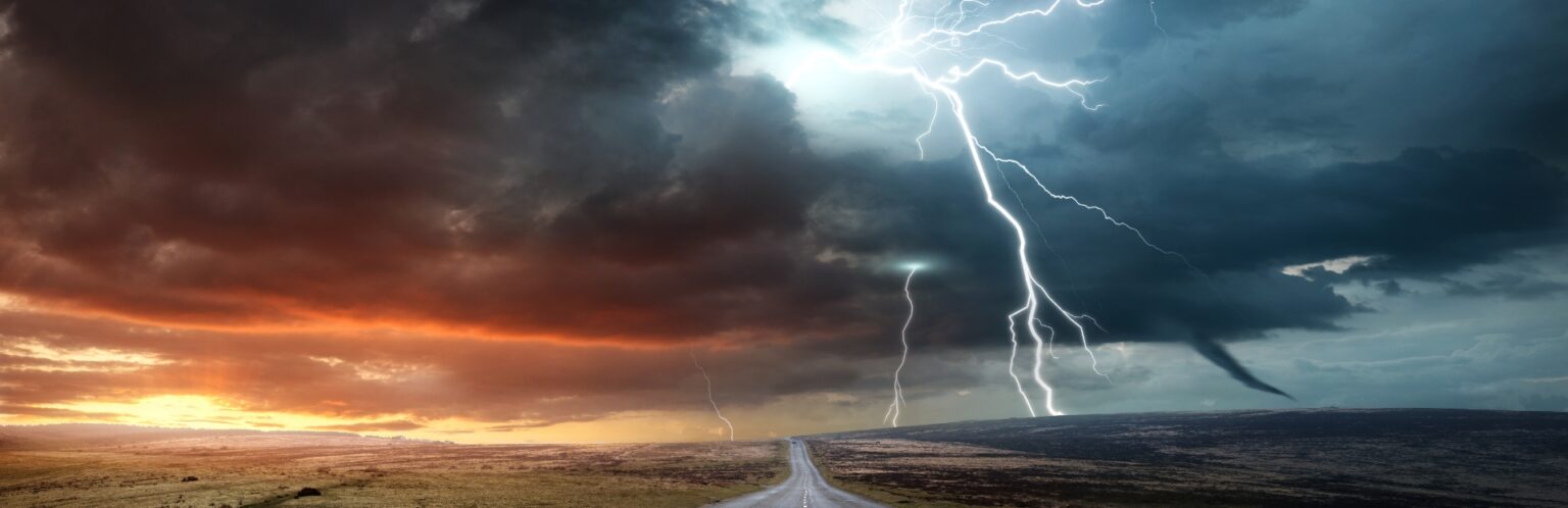 Termaco - L’excellence immuable